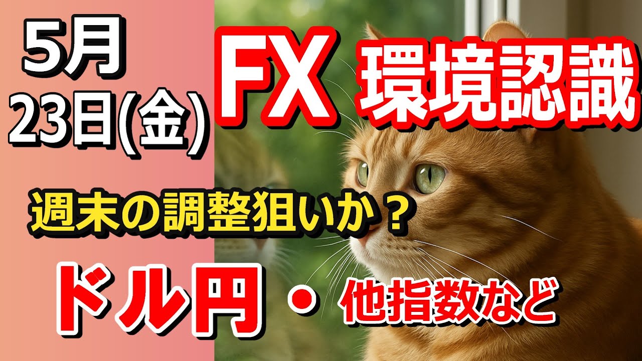 【TAKA FX】週末の調整狙いか ドル円他各通貨の環境認識解説。各種指数、GOLDなど 5月23日(金) - FX動画まとめ